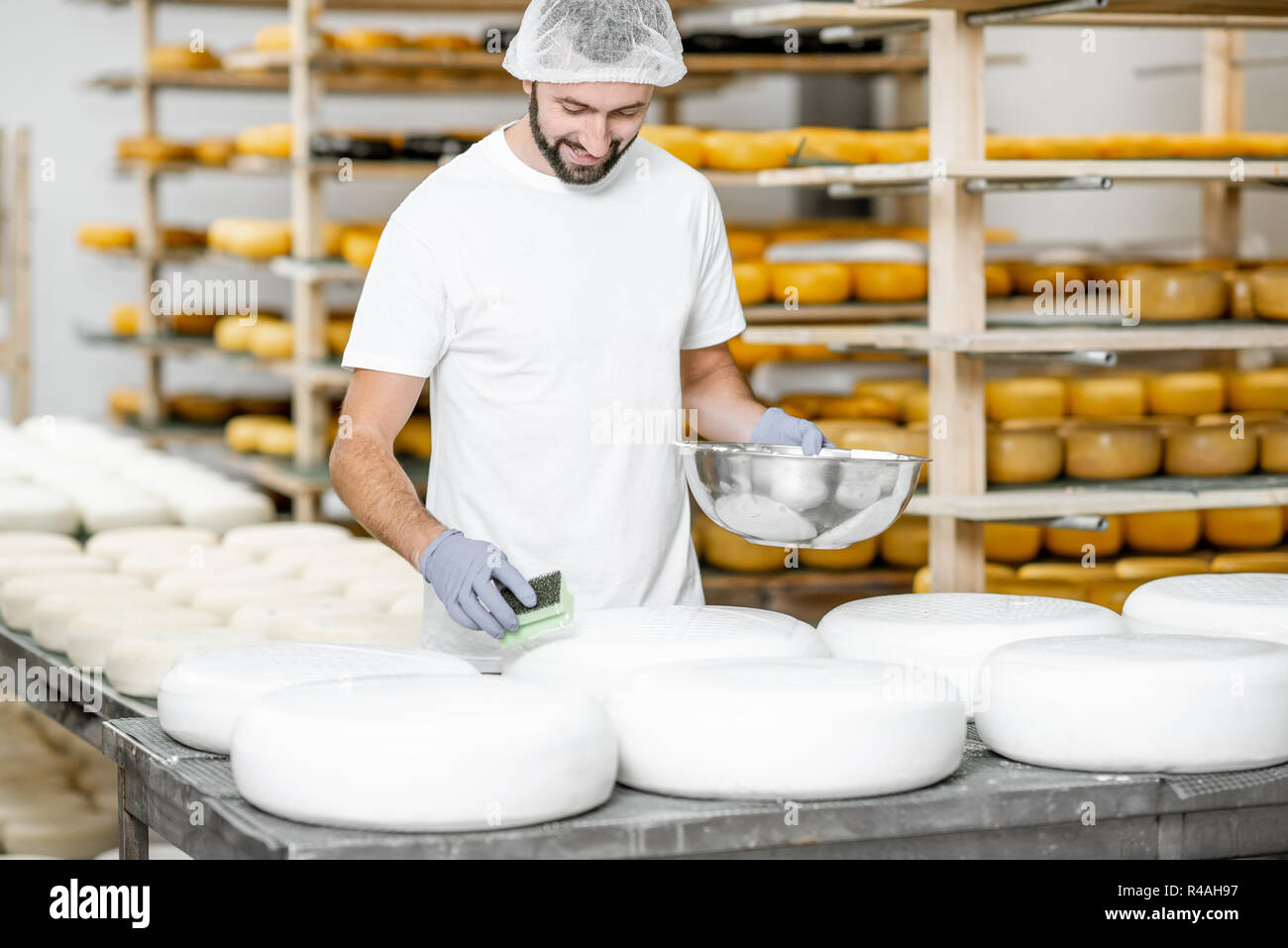 Man rubing cheese wheels with wax at the cheese manufacturing with ...