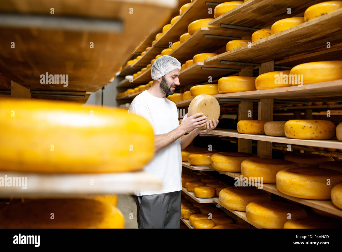 Worker checking the cheese quality at the storage with shelves full of ...