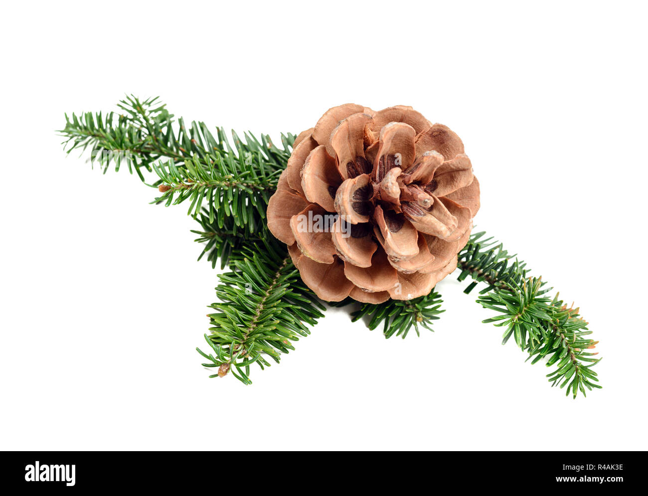 Top view cone on Cut Out Stock Images & Pictures - Alamy