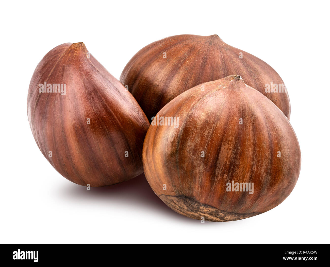 Chestnut isolated on white background. Clipping path Stock Photo - Alamy