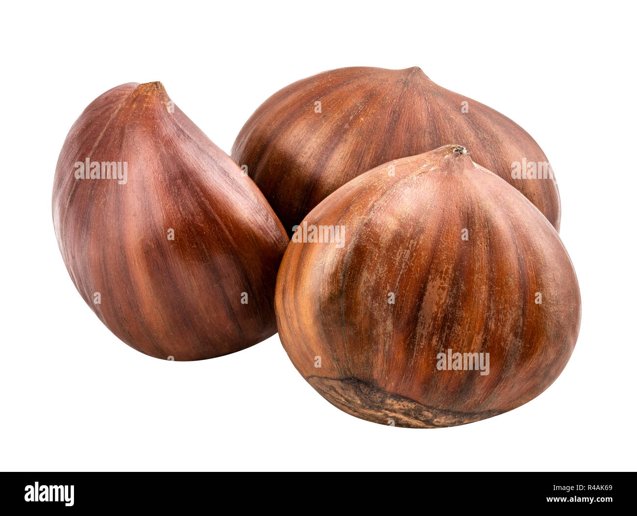 Chestnut isolated on white background. Clipping path Stock Photo - Alamy