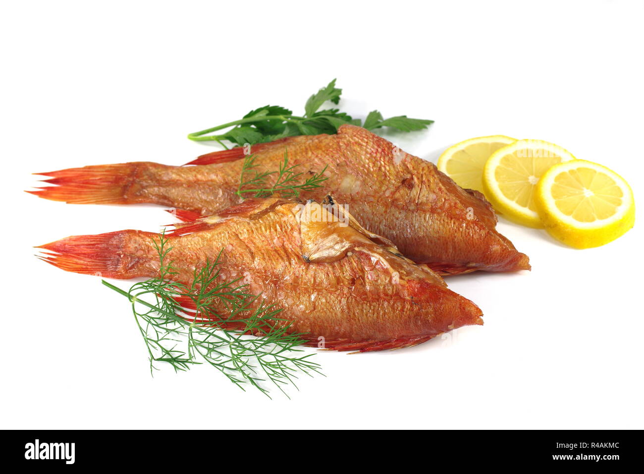 smoked salwater red fish sebastes norvegicus Stock Photo - Alamy