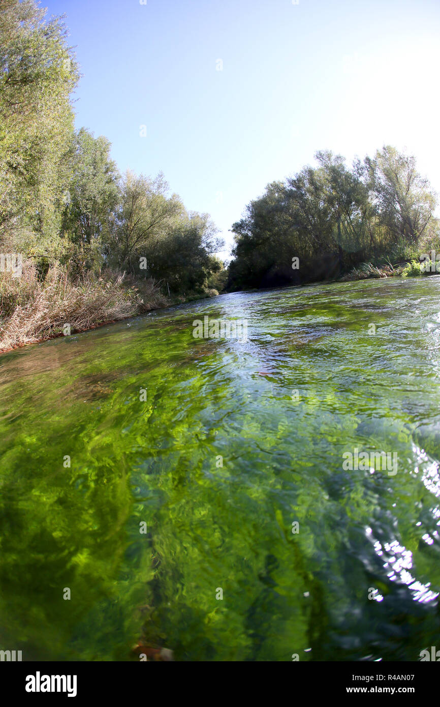 View of fishing river with green algae Stock Photo - Alamy
