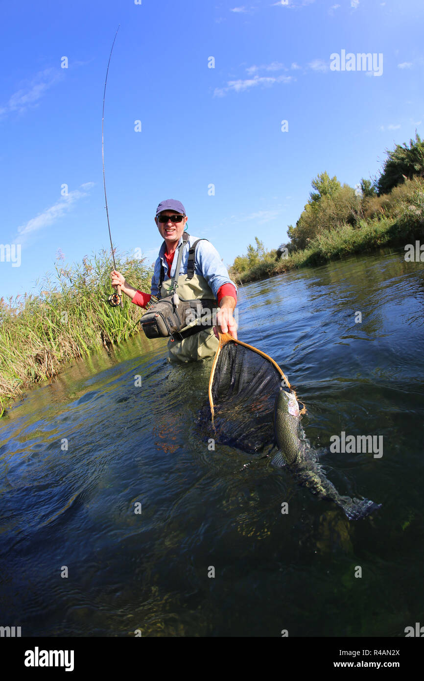 Fly fisherman catching rainbow fish Stock Photo - Alamy