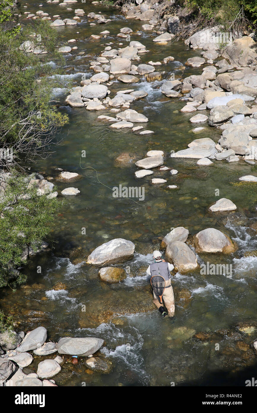 Back view of fly fisherman fishing in river Stock Photo - Alamy
