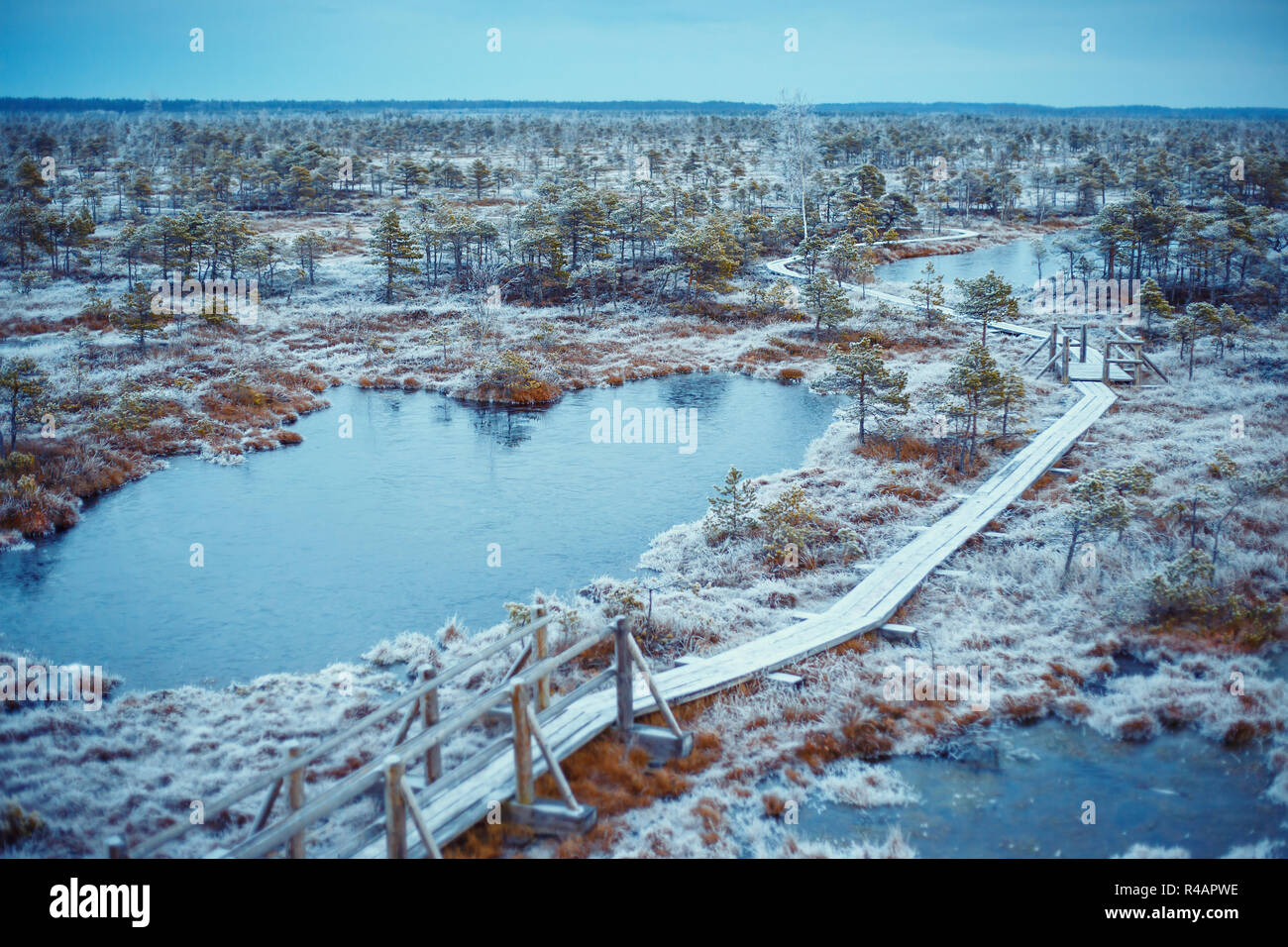 Big swamp wetlands Kemeri national park, Latvia Stock Photo - Alamy