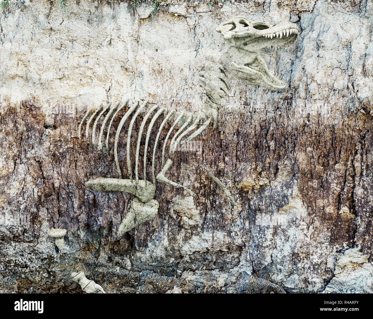 Tyrannosaurus Rex Fossil In Ground