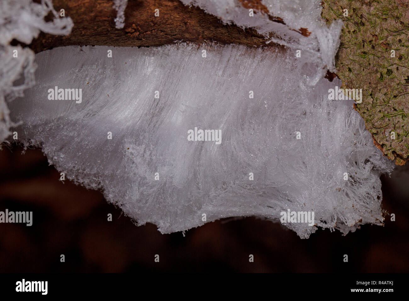 Hair ice hi-res stock photography and images - Alamy