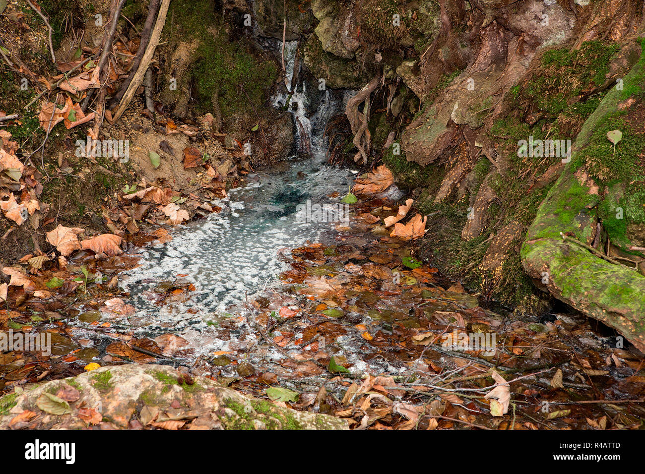 Sippenauer moor hi-res stock photography and images - Alamy