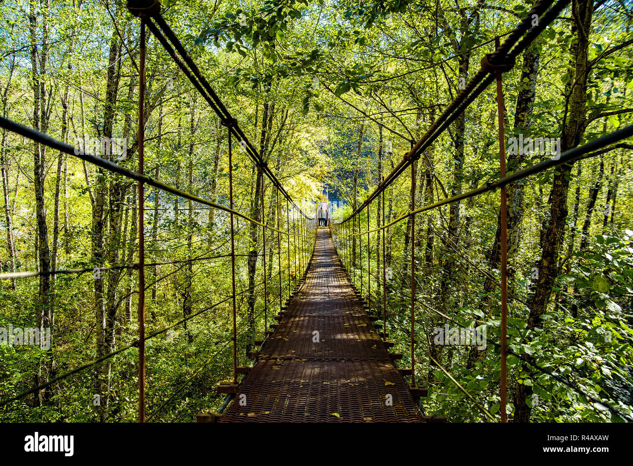 Hikers on suspension foot bridge in mountains Stock Photo - Alamy