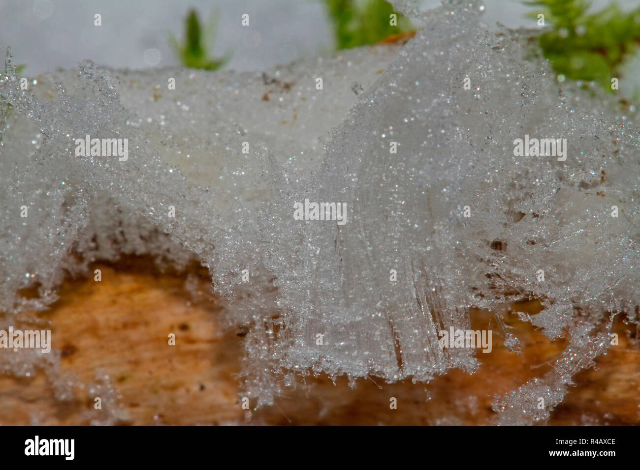 Hair ice hi-res stock photography and images - Alamy