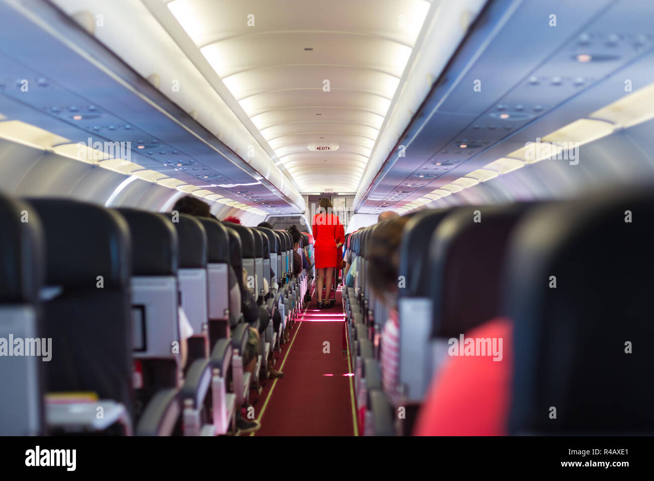 Stewardess on the airplane Stock Photo - Alamy