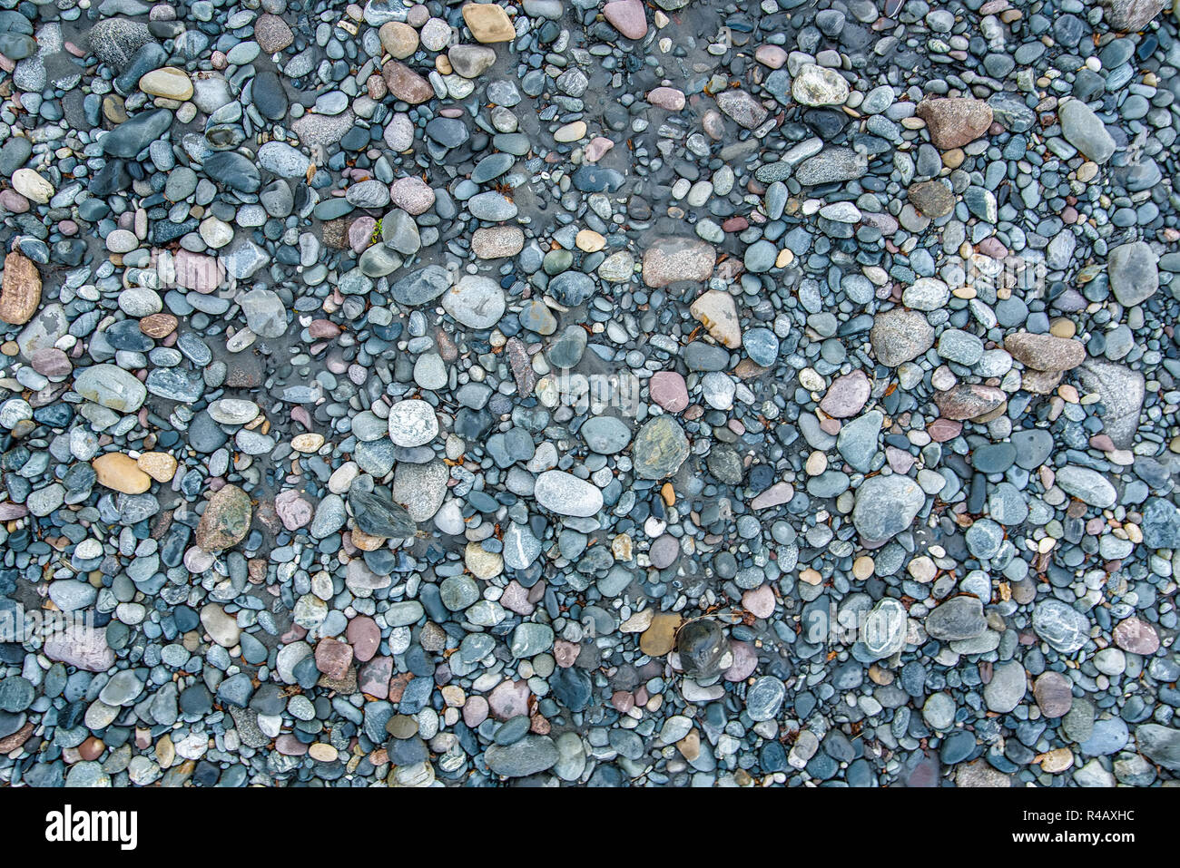 Pebbels on the beach hi-res stock photography and images - Alamy