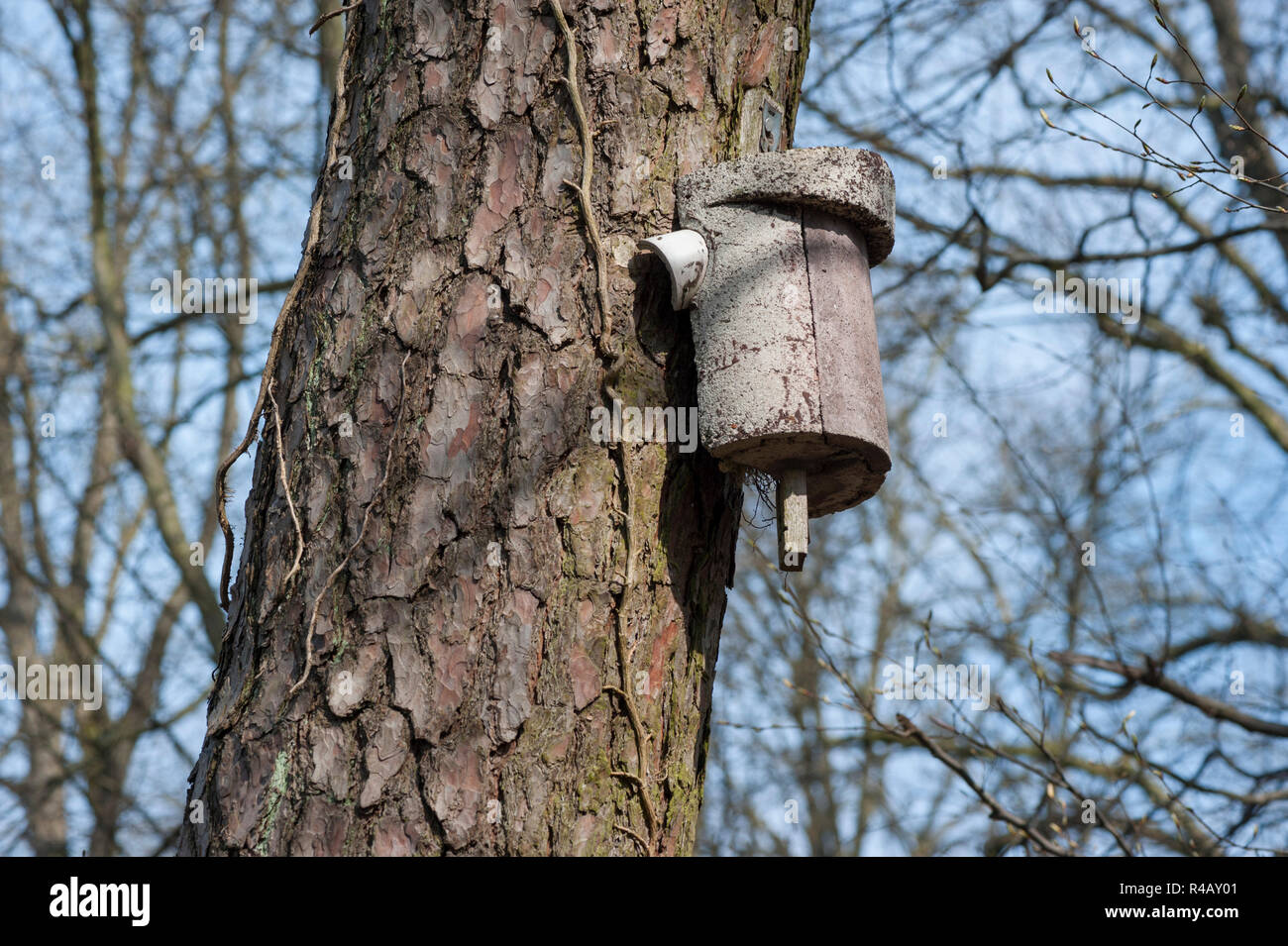 nesting box for treecreeper, Baden-Wuerttemberg, Germany Stock Photo ...
