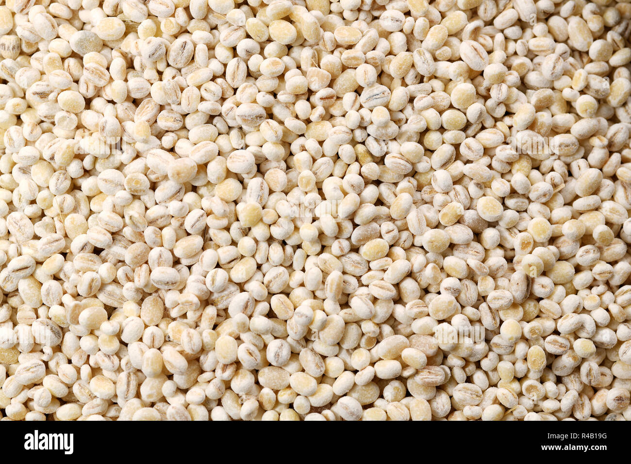 Beer barley grain hi-res stock photography and images - Alamy