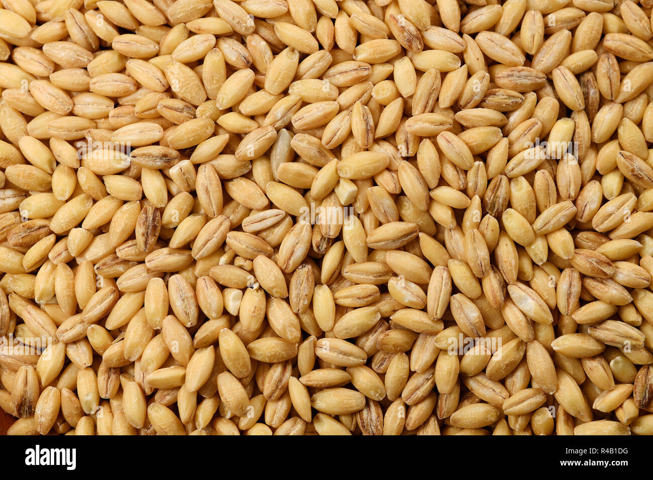 Indian food grain hi-res stock photography and images - Alamy