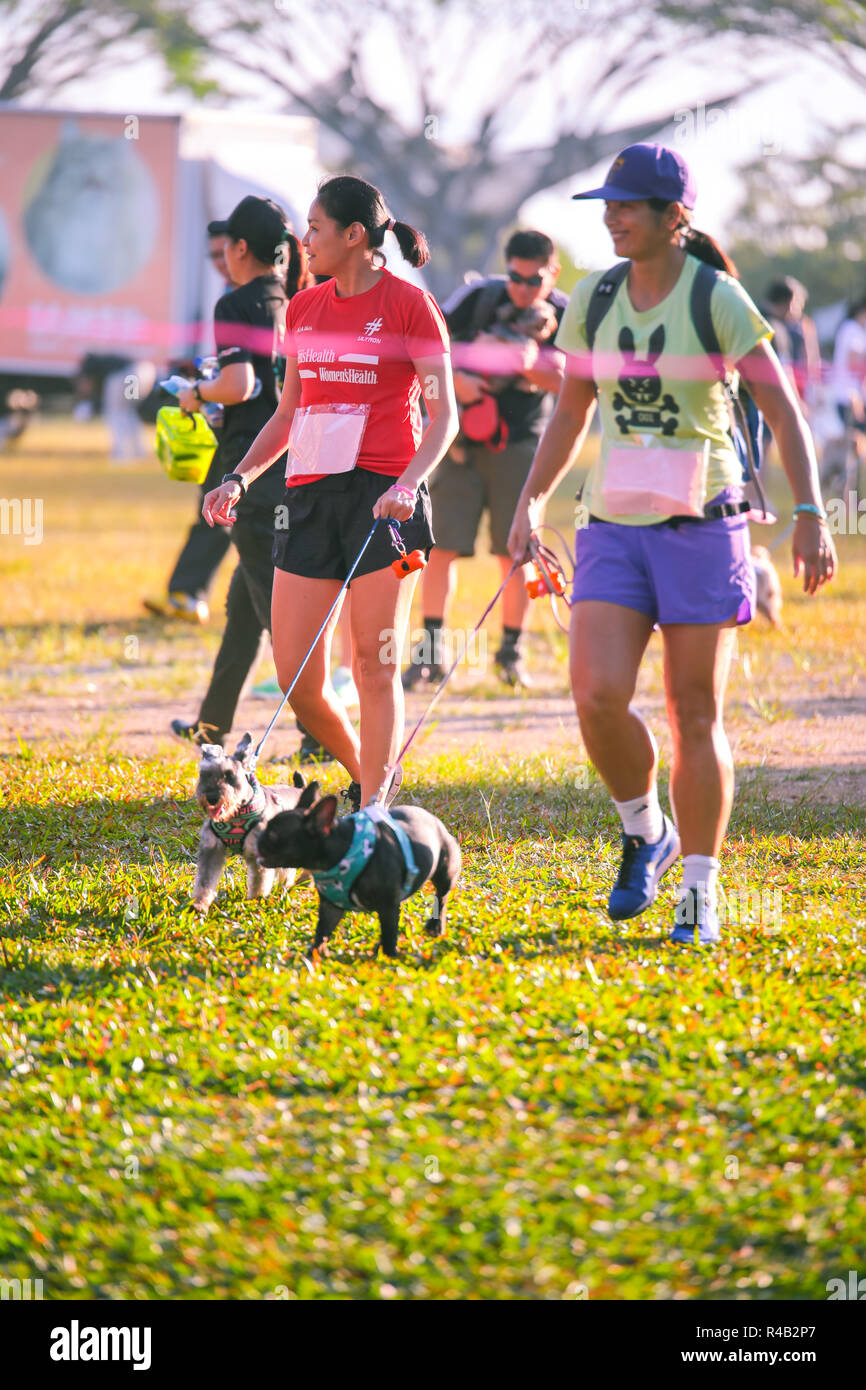 Dog owners gather at an outdoor veterinary clinic and dog meets Stock ...