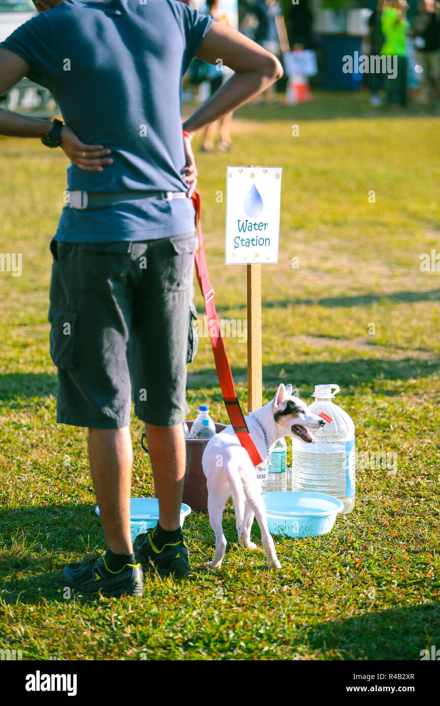 Hydration companion hi-res stock photography and images - Alamy