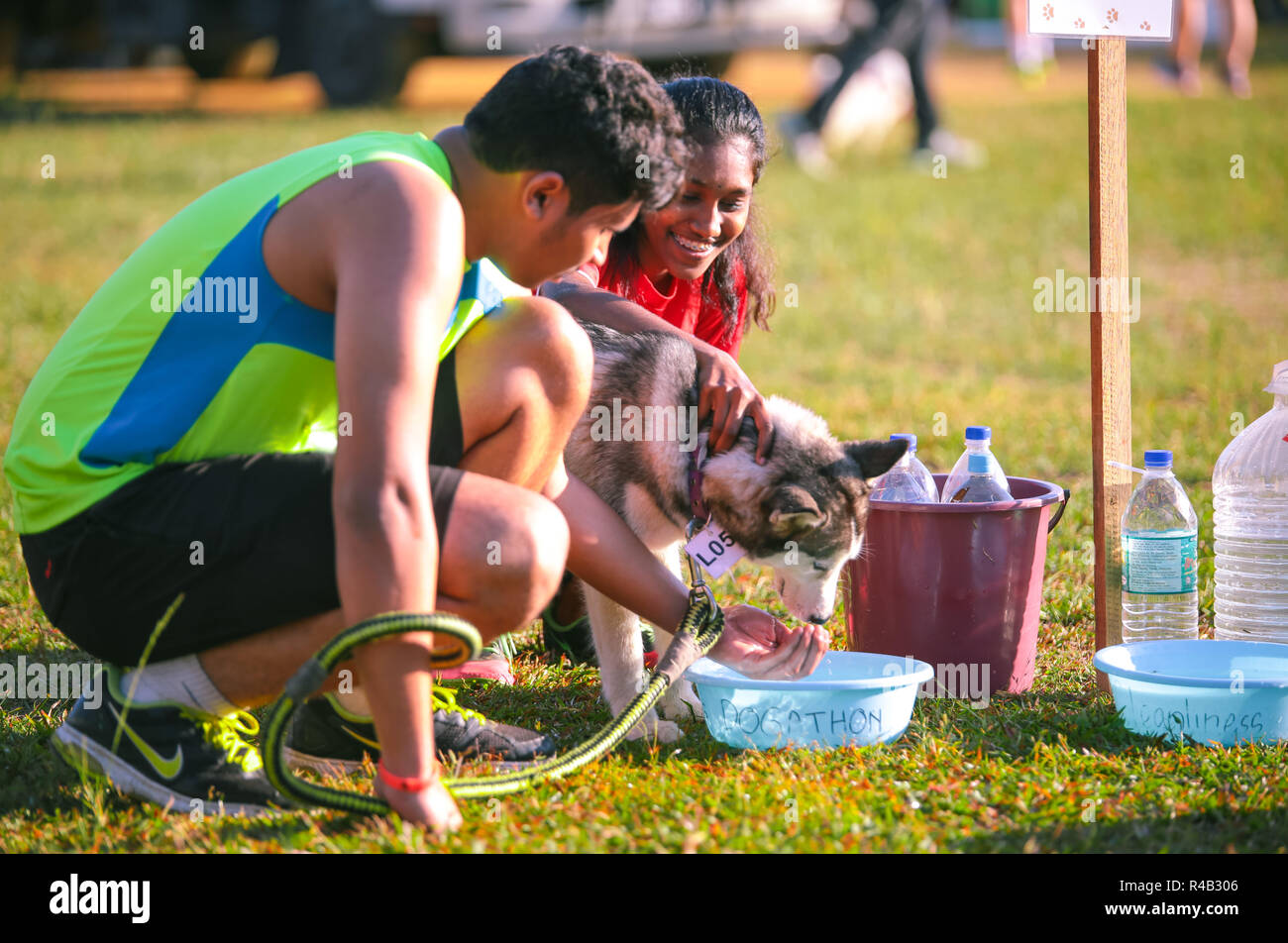 Animal hydration hi-res stock photography and images - Alamy