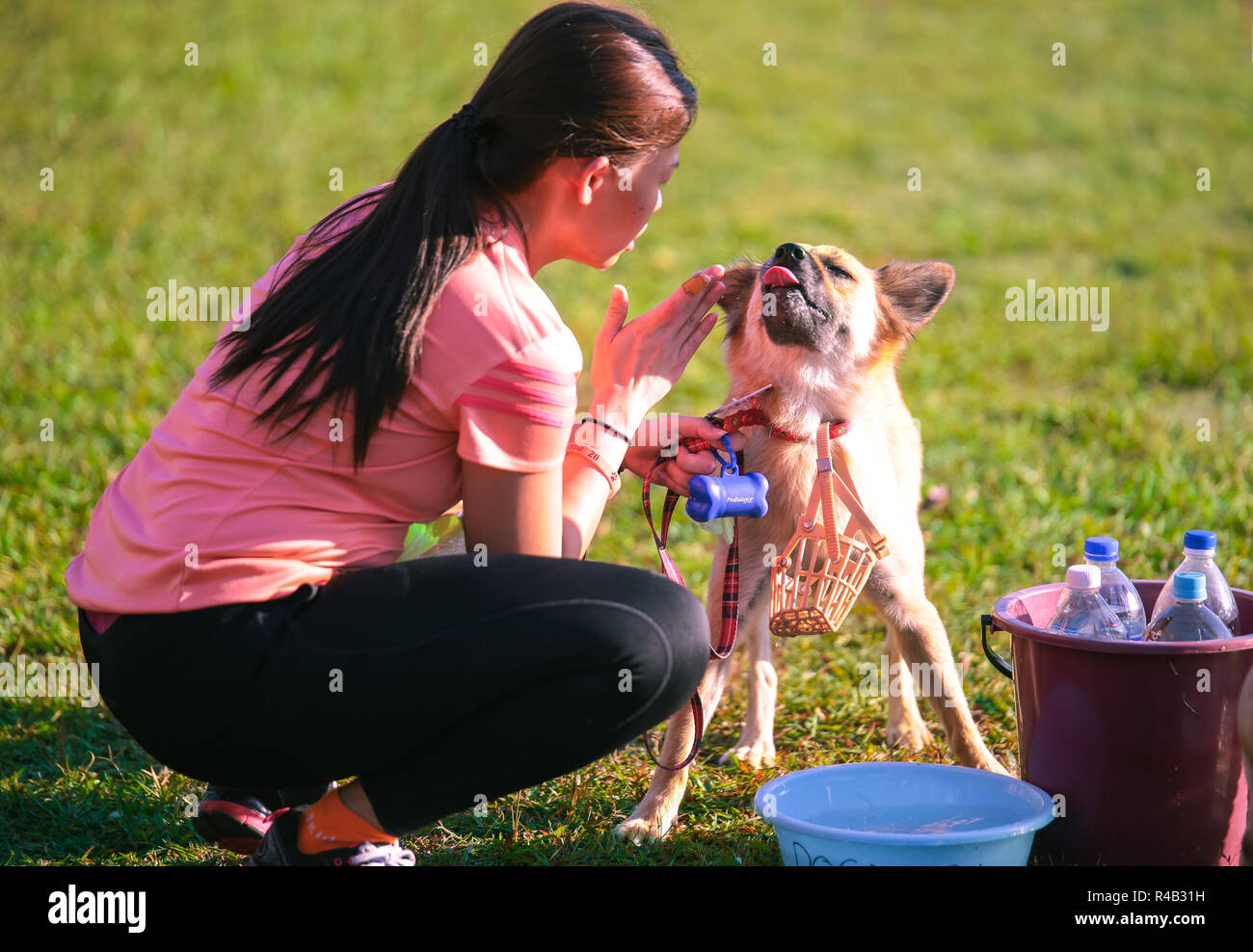 Pet lovers bring their dogs to water station for hydration Stock Photo ...