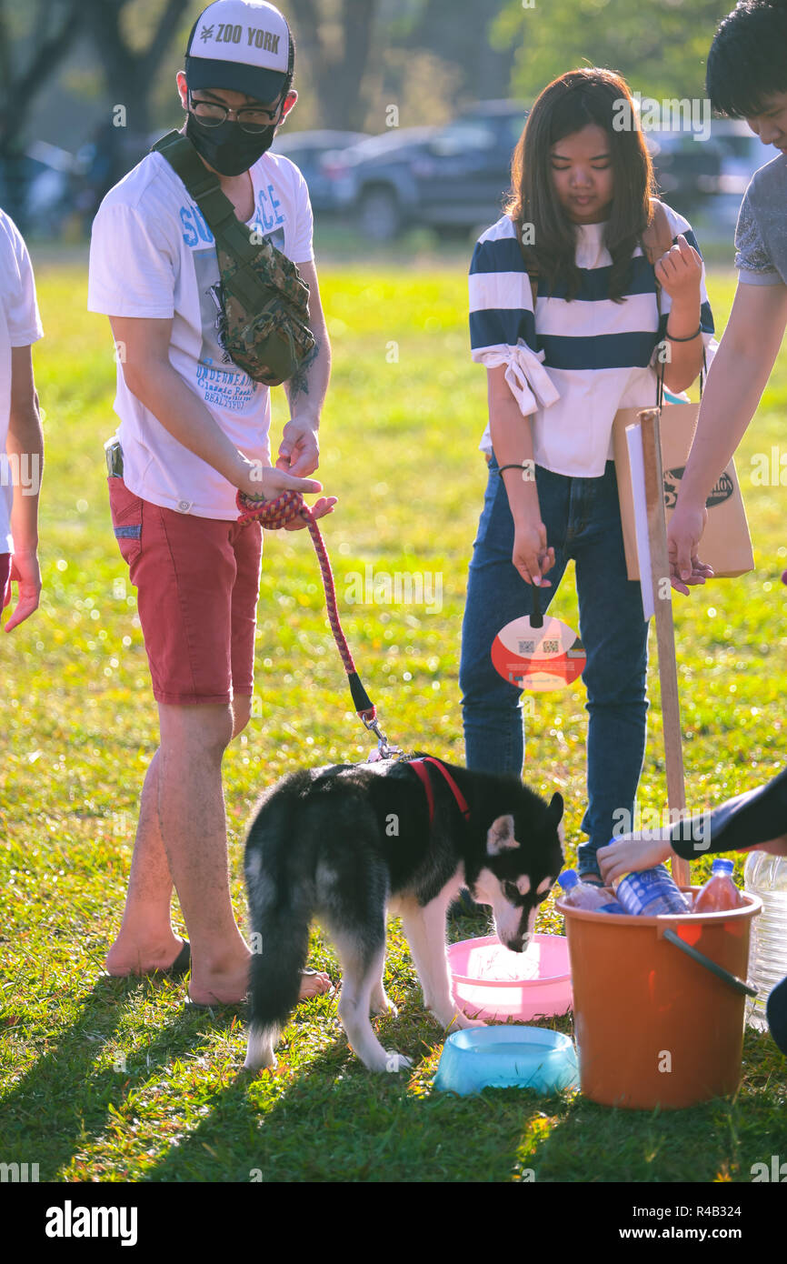 Pet lovers bring their dogs to water station for hydration Stock Photo ...