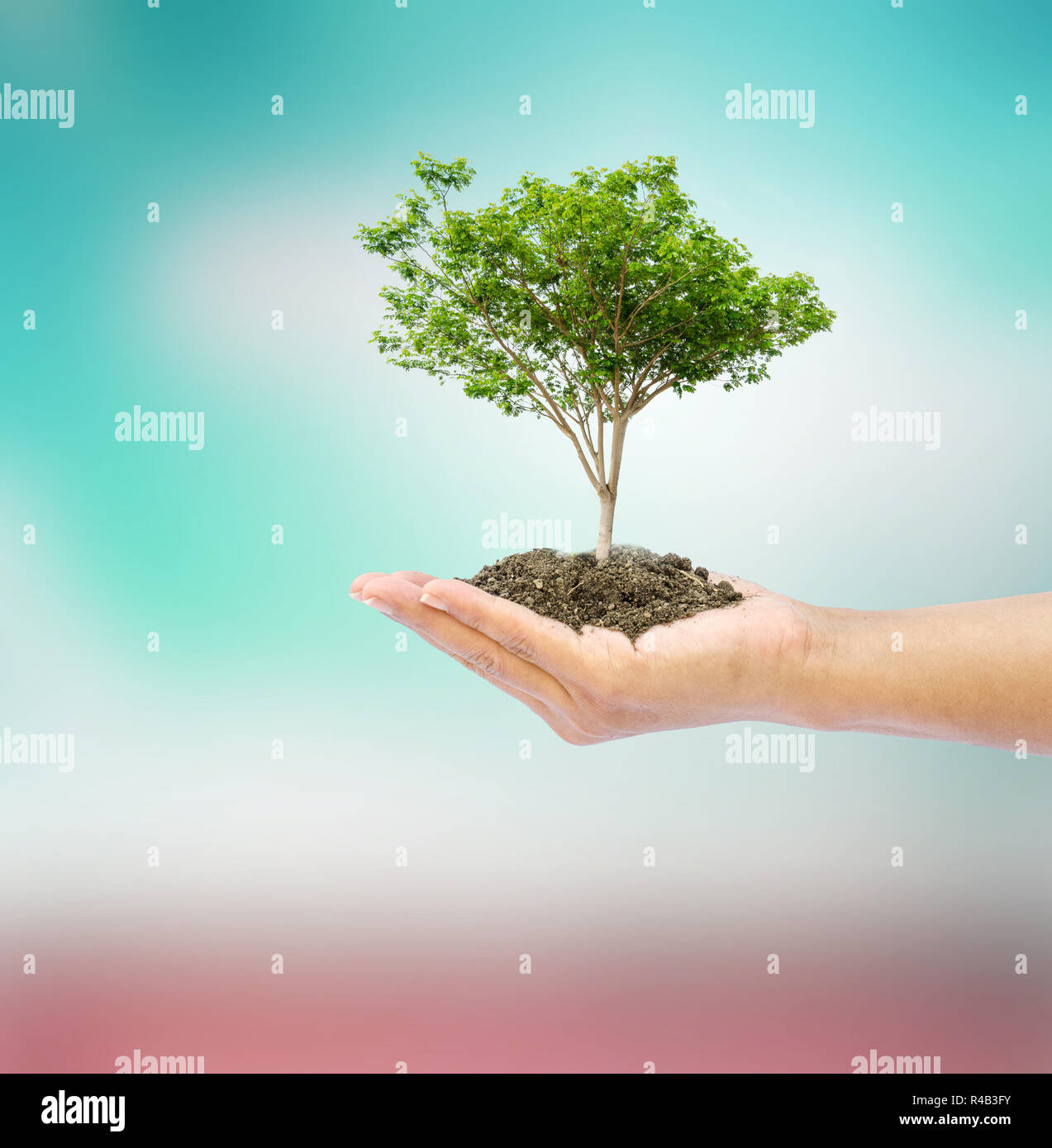 hand holding tree on abstract nature background Stock Photo - Alamy
