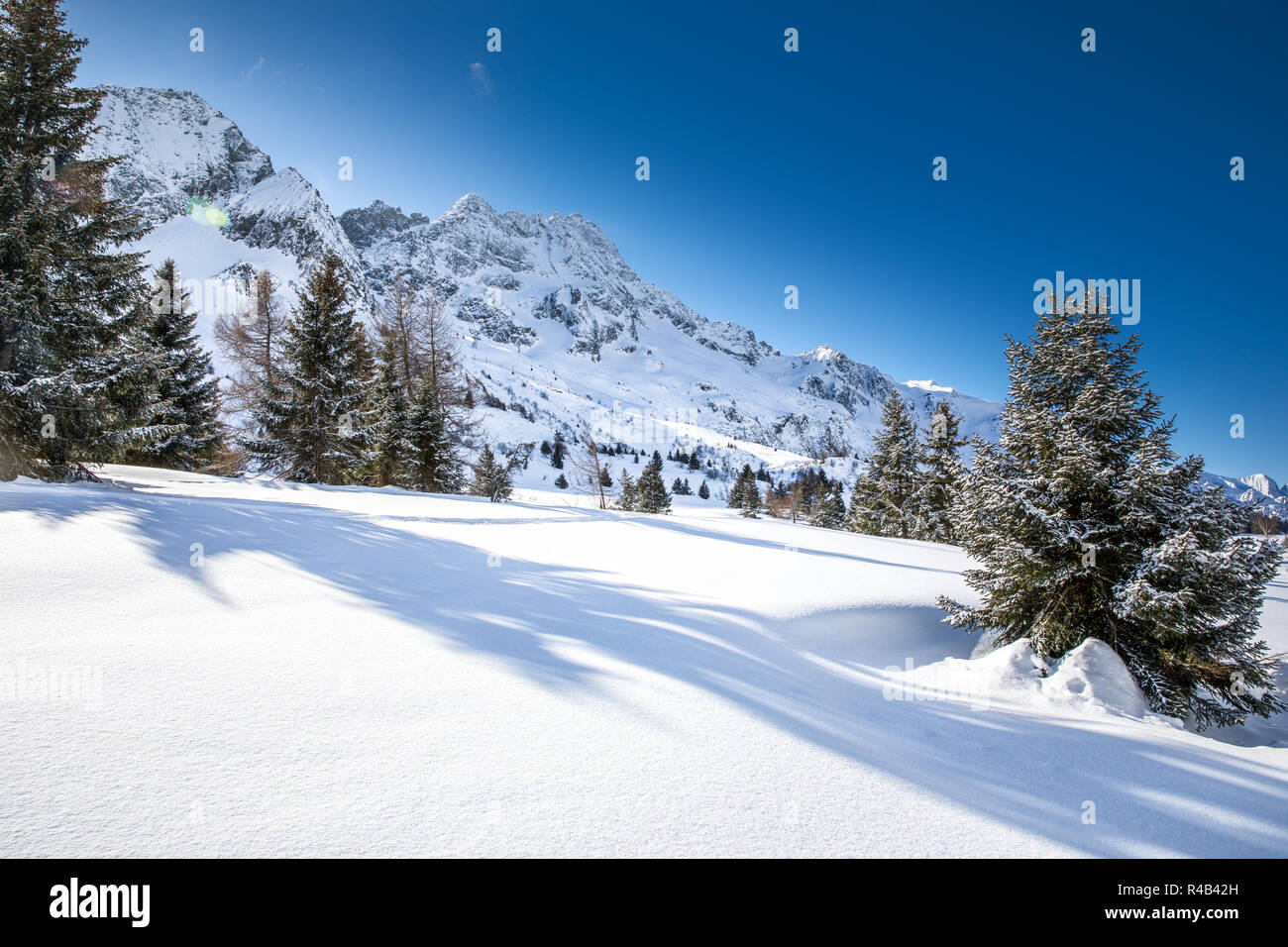 Adamello presanella hi-res stock photography and images - Alamy