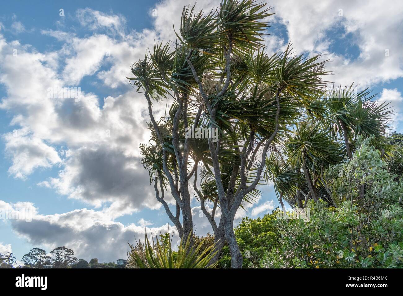 Upper angle view hi-res stock photography and images - Alamy