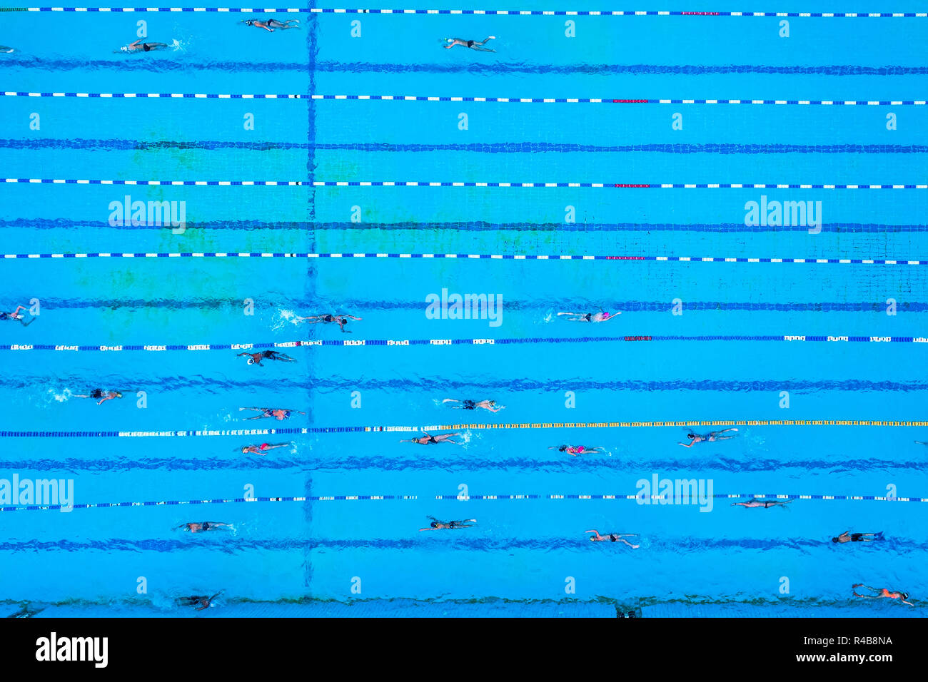 Aerial view of swimming pool with marked lanes and swimmers Stock Photo ...