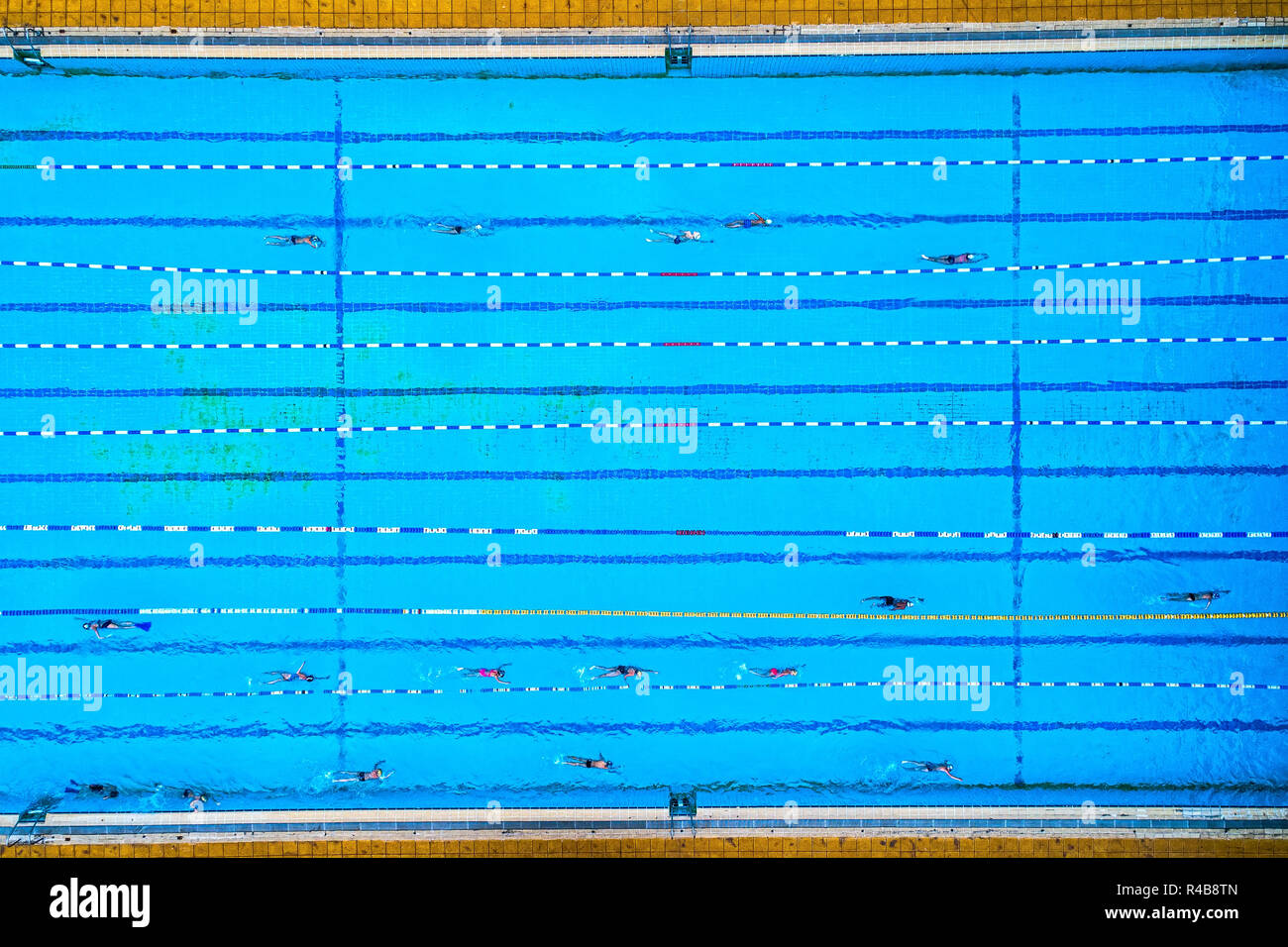 Aerial view of swimming pool with marked lanes and swimmers Stock Photo ...