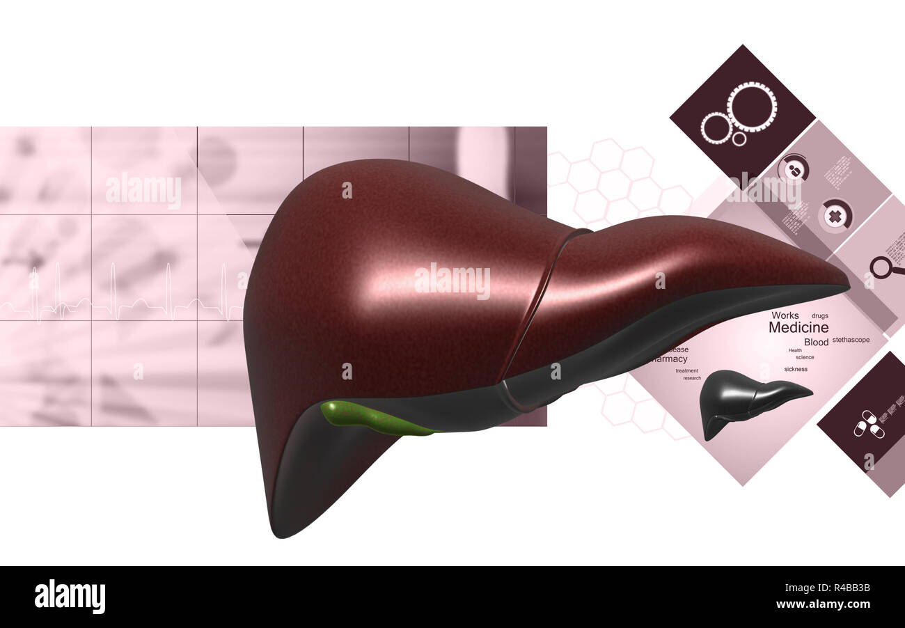 Liver colour hi-res stock photography and images - Alamy