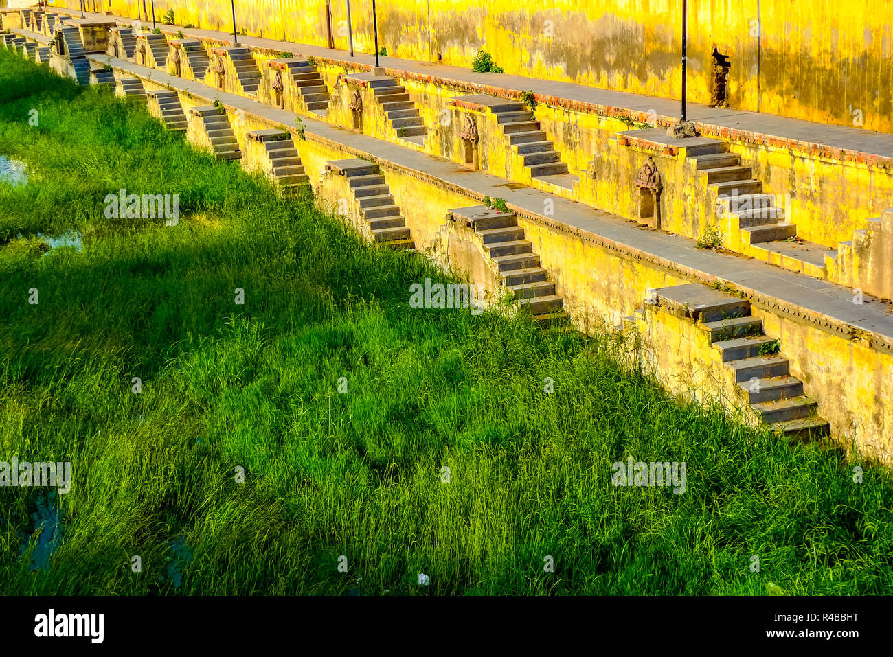 Watergrass hi-res stock photography and images - Alamy