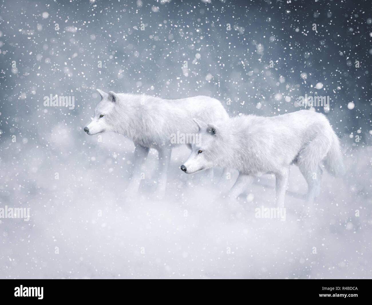 3D rendering of two majestic white wolfs surrounded by magical snow ...