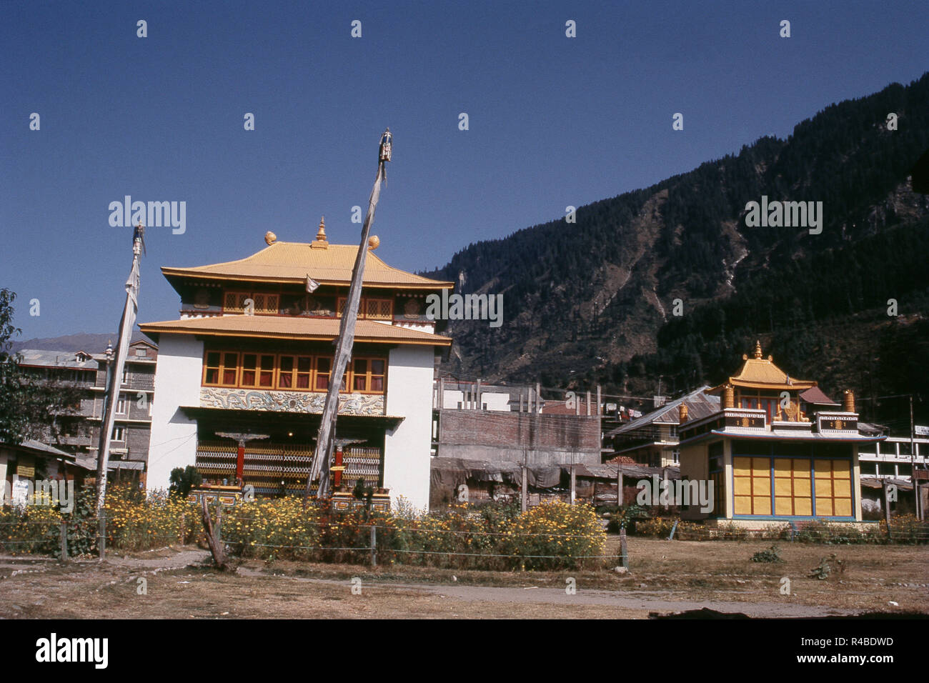 View of Tibetan monastery, Manali, Himachal Pradesh, India, Asia Stock ...