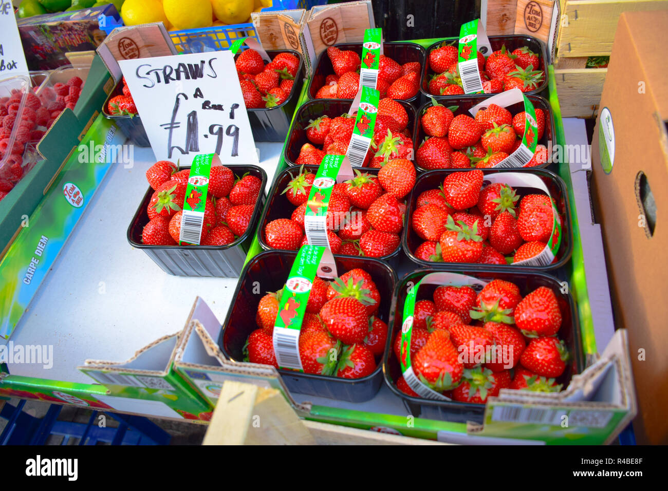 Strawberry tour hi-res stock photography and images - Alamy