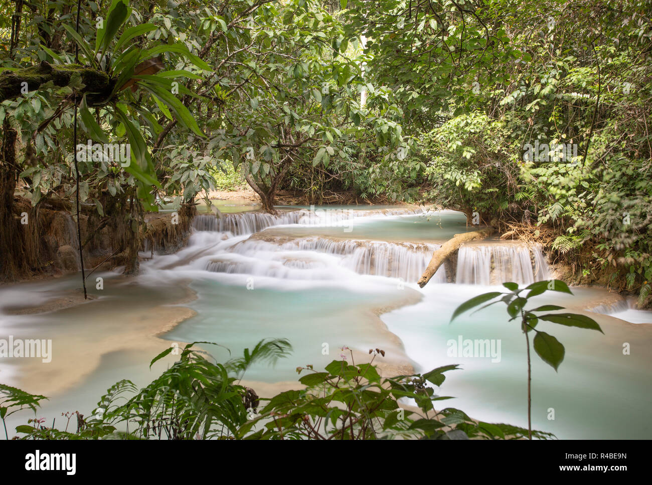 The Beautiful Tat Kuang Si waterfalls are a popular daytrip from Luang ...