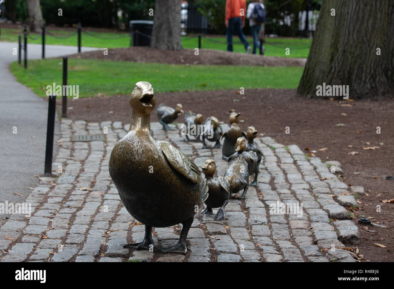 Park Street Boston Ducks