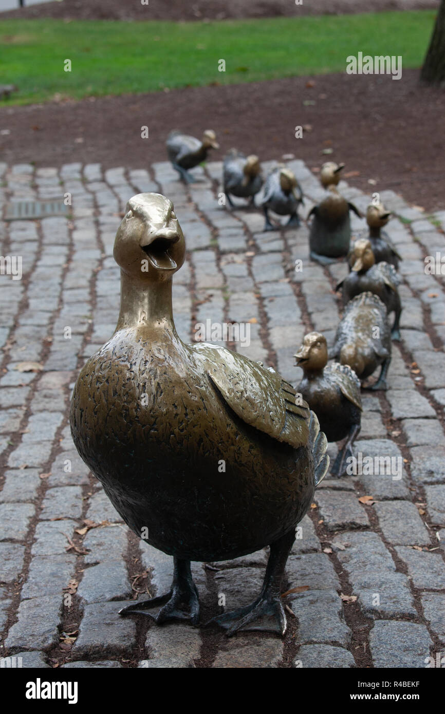 Way ducklings boston public garden hi-res stock photography and images ...