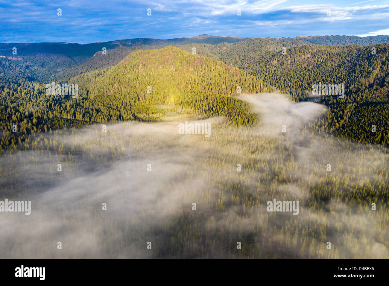 Flying over misty pine forest hi-res stock photography and images - Alamy