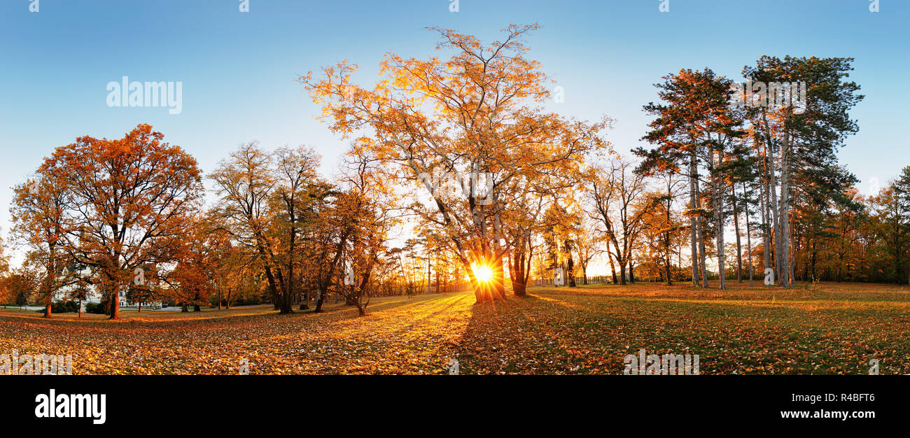 Atumn nature hi-res stock photography and images - Alamy