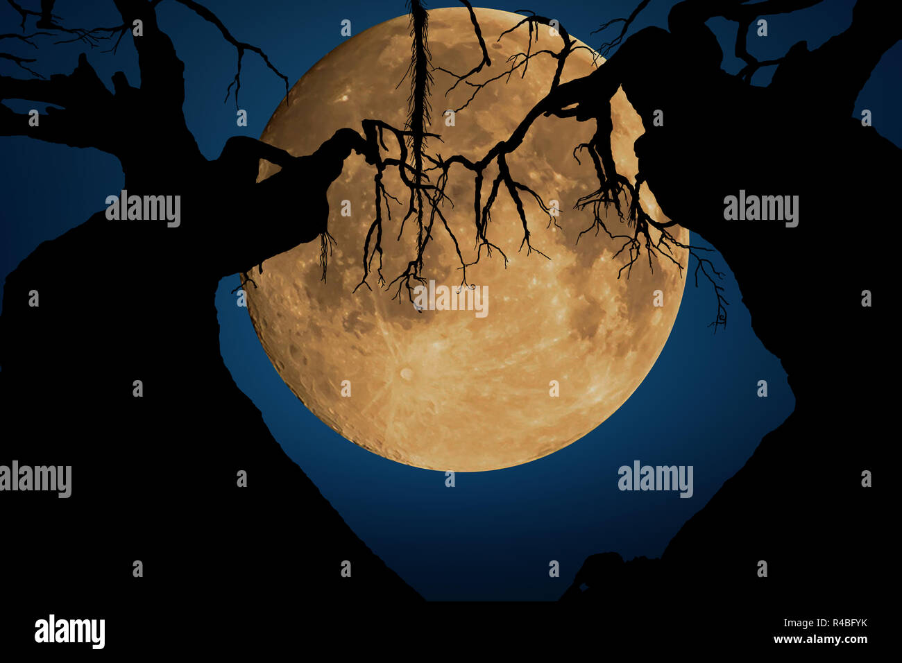 Planet Moon yellow in the forest Stock Photo - Alamy