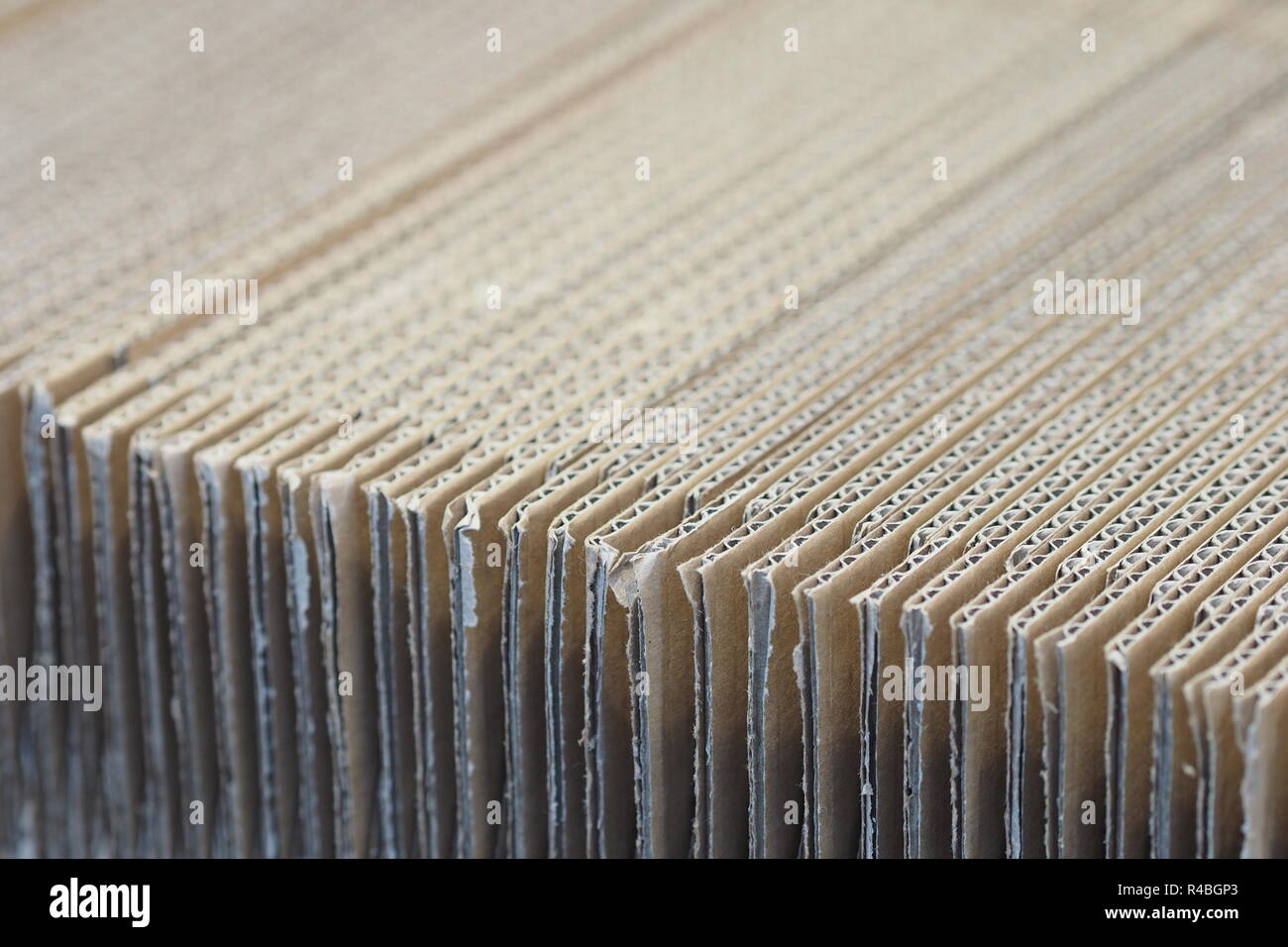 Row of flat cartons in a packing line Stock Photo - Alamy