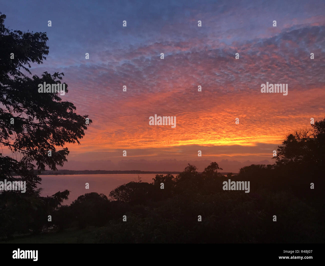 Anchieta hi-res stock photography and images - Alamy
