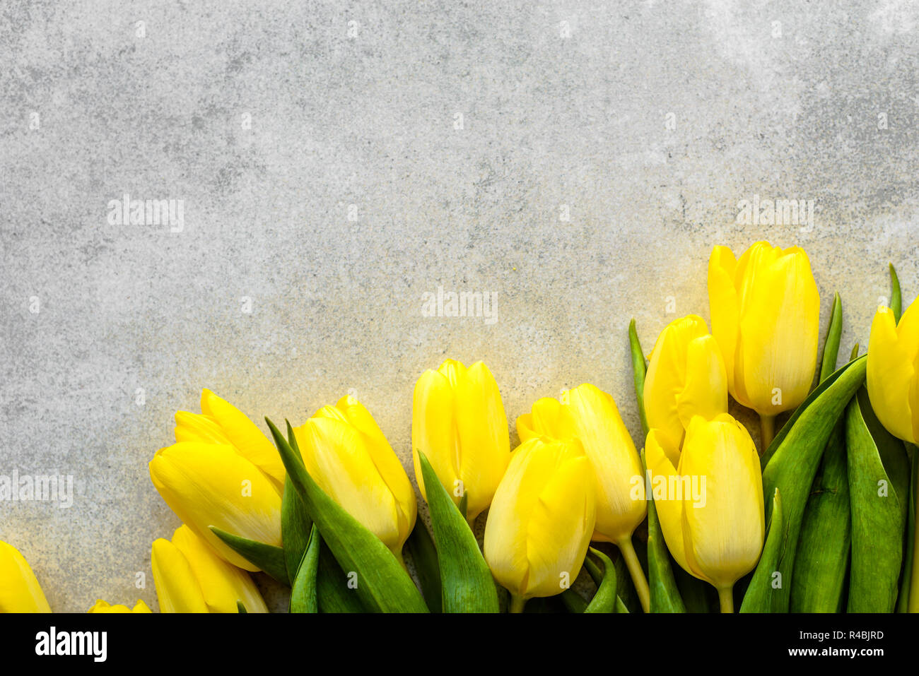 Yellow tulips, spring easter background for mothers day or card for ...
