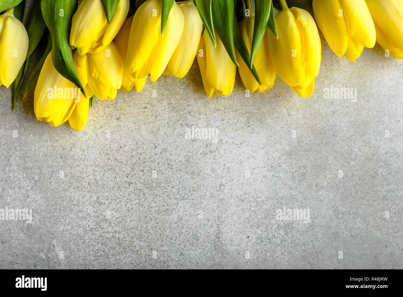 Yellow tulips, spring easter background for women's day or card for ...