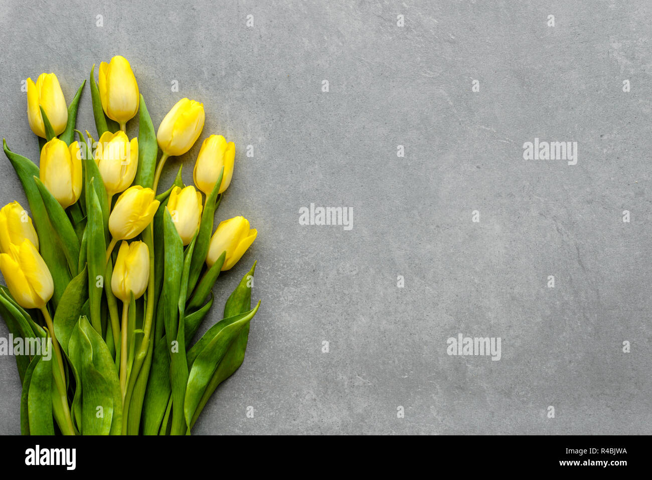 Yellow tulips, spring easter background or anniversary gift for mothers ...