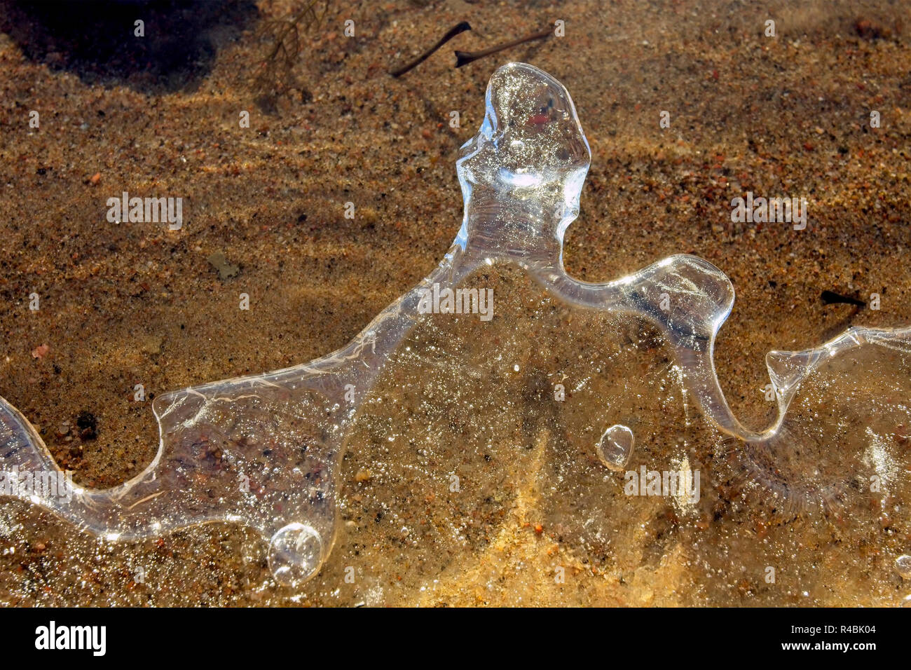 Thin sheet hi-res stock photography and images - Alamy