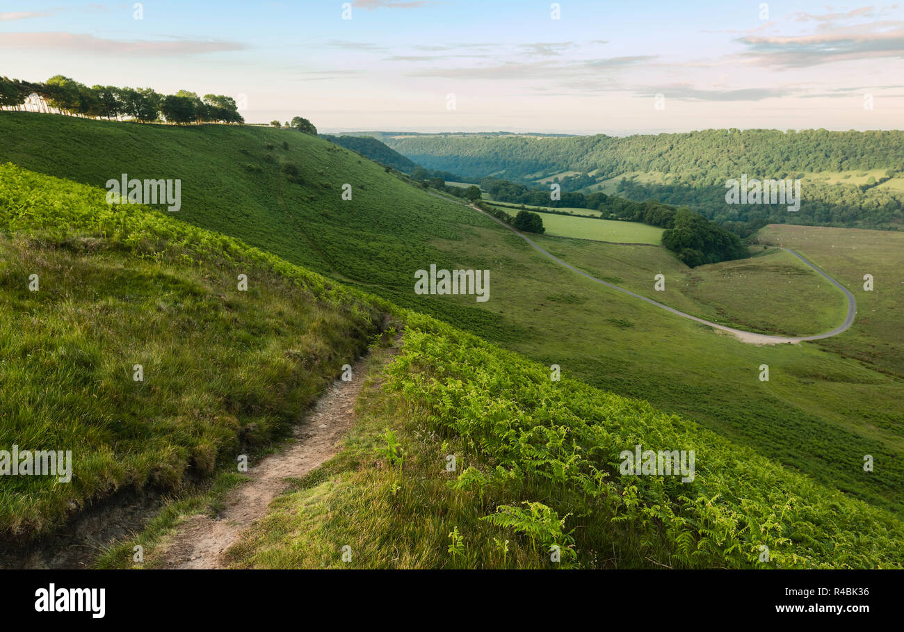 The North York Moors national park as dawn breaks over the landscape ...