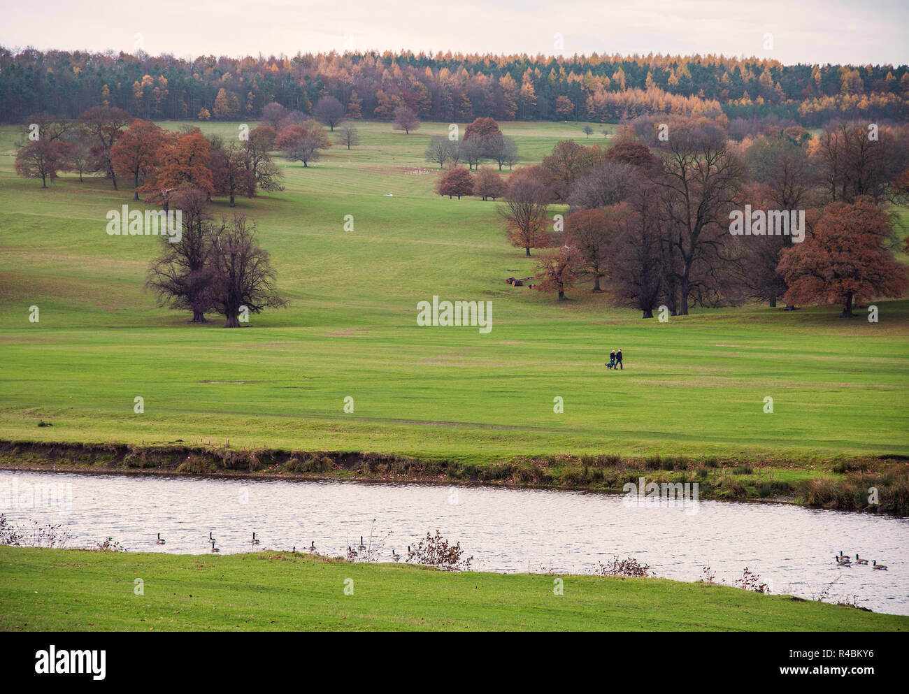 Two people enjoying the English countryside walking on the Chatsworth ...