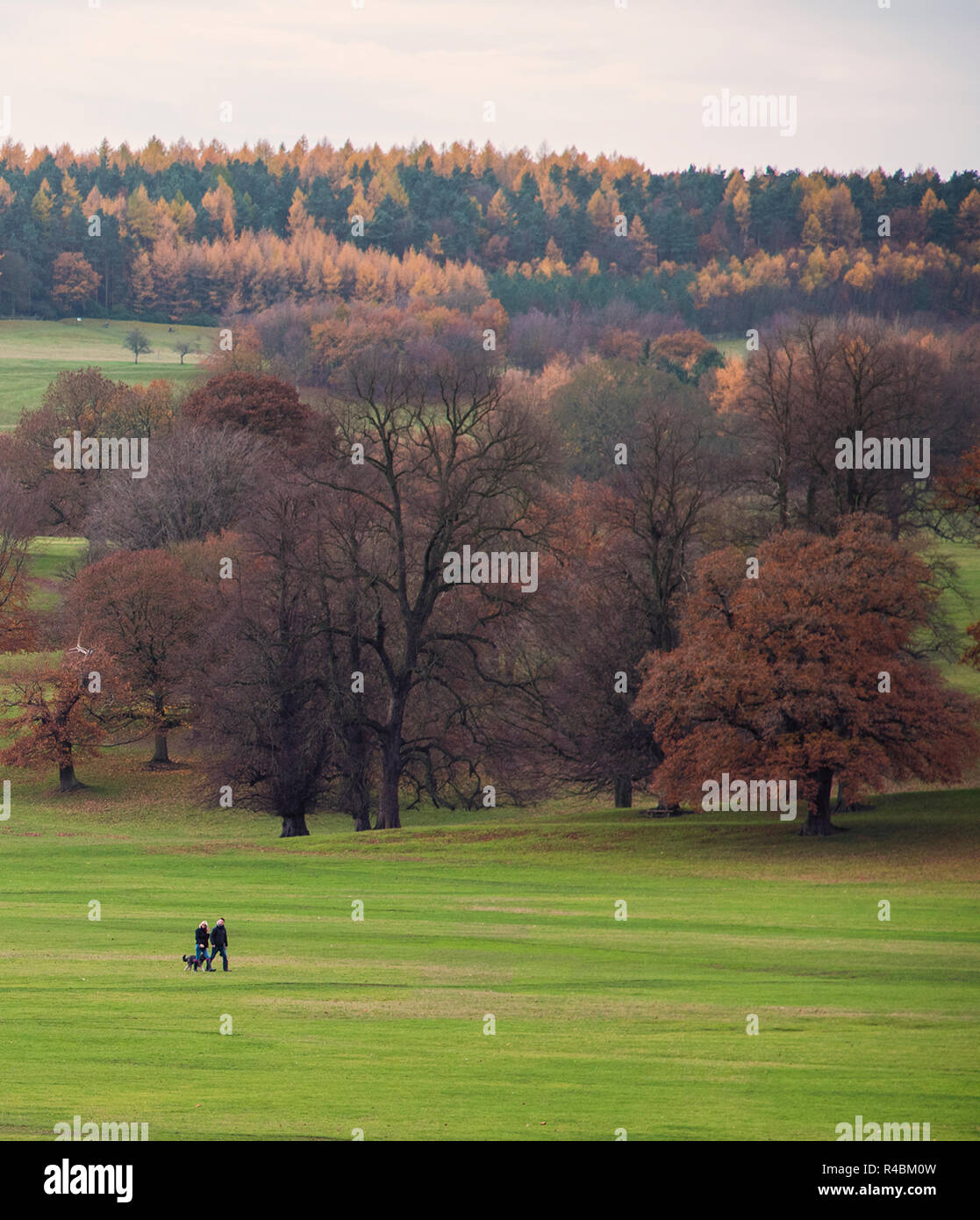 Two people enjoying the English countryside walking on the Chatsworth ...